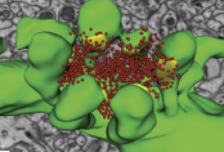 Research Areas | Gatan, Inc.